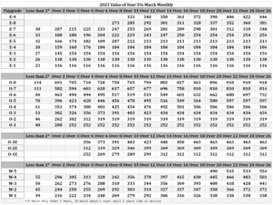TSP Max Contribution 2025 | Military BRS Match Per Pay Period Percentage